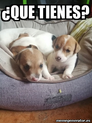 Meme Personalizado - ¿que tienes? - 31820908