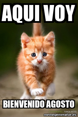 Meme Personalizado - Aqui voy bienvenido agosto - 31822248
