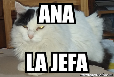 Meme Personalizado - Ana La jefa - 31824024