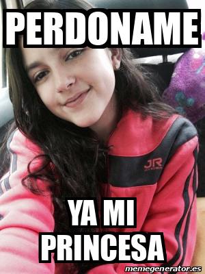 Meme Personalizado - perdoname ya mi princesa - 31824916