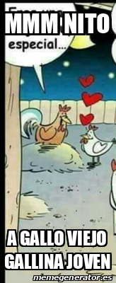 Meme Personalizado - mmm nito a gallo viejo gallina joven - 31824984