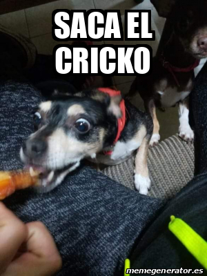 Meme Personalizado - Saca el cricko - 31825402