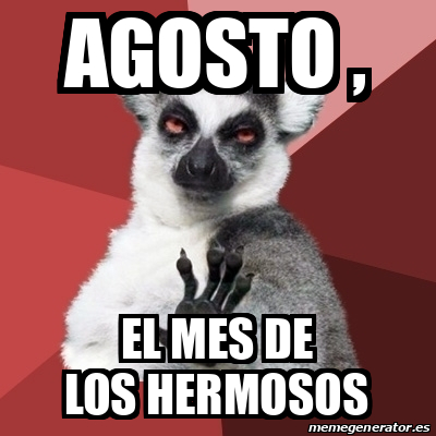 Meme Chill Out Lemur - agosto , el mes de los hermosos - 31826367