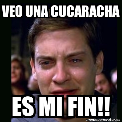 Meme crying peter parker - Veo una cucaracha Es mi fin!! - 31828317