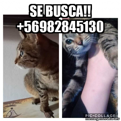 Meme Personalizado - Se busca!! +56982845130 - 31834647
