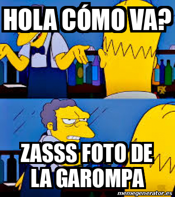 Meme Personalizado - Hola cómo va? ZASSS FOTO DE LA GAROMPA - 31837297