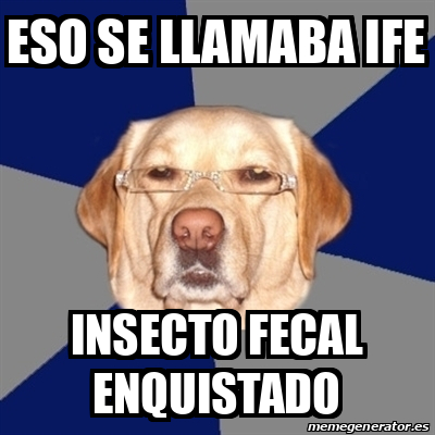 Meme Perro Racista - eso se llamaba ife insecto fecal enquistado - 31837993