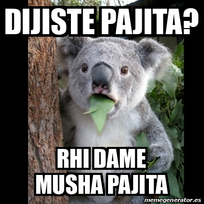 Meme Koala - dijiste pajita? rhi dame musha pajita - 31841881