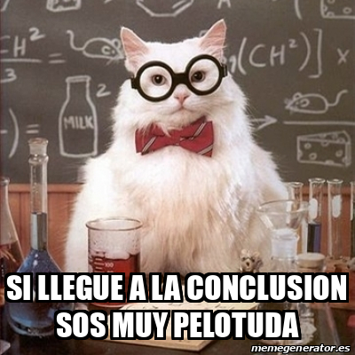 Meme Chemistry Cat - si llegue a la conclusion sos muy pelotuda - 31844174