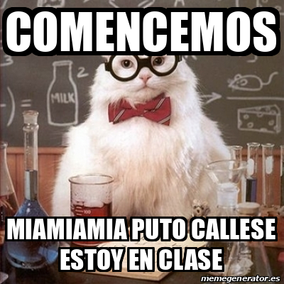 Meme Chemistry Cat - COMENCEMOS MIAMIAMIA PUTO CALLESE ESTOY EN CLASE ...