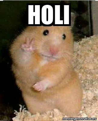 Meme Personalizado - Holi - 31846914