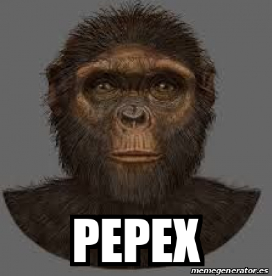 Meme Personalizado - pepex - 31849676