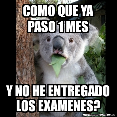 Meme Koala - como que ya paso 1 mes y no he entregado los examenes ...