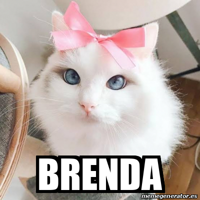 Meme Personalizado - Brenda - 31850836