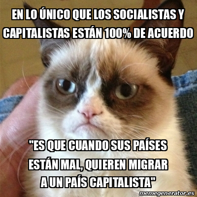 Meme Grumpy Cat - en lo ÚNICO que los socialistas y capitalistas ESTÁN ...