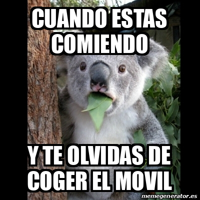 Meme Koala - Cuando estas comiendo Y te olvidas de coger el movil ...