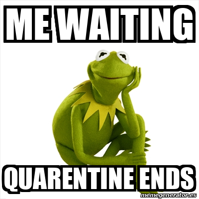 Meme Kermit the frog - Me waiting Quarentine ends - 31853414