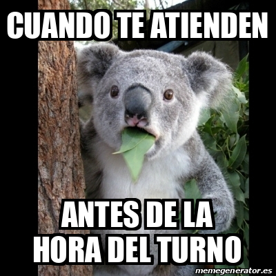 Meme Koala - cuando te atienden antes de la hora del turno - 31853483