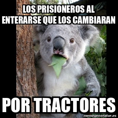 Meme Koala - Los prisioneros al enterarse que los cambiaran por ...