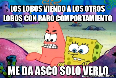 Meme Personalizado - Los lobos viendo a los otros lobos con raro ...