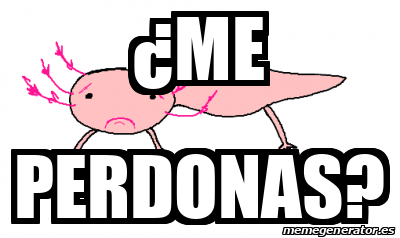 Meme Personalizado - ¿me perdonas? - 31860896