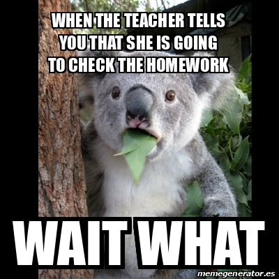 Meme Koala - When the teacher tells you that she is going to check the ...