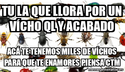 Meme Personalizado - Tu la que llora por un vícho ql y acabado Acá te ...