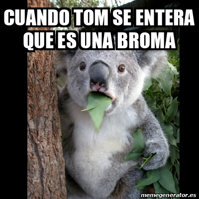 Meme Koala - cuando tom se entera que es una broma - 31867692