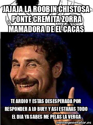 Meme Personalizado - jajaja la roobin chistosa ponte cremita zorra ...