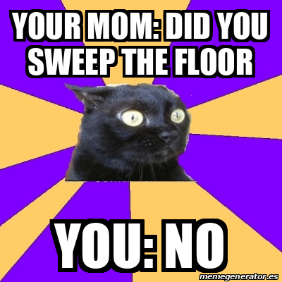 Meme Anxiety Cat - your mom: did you sweep the floor you: no - 31870237