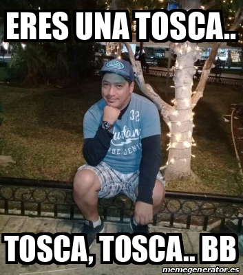 Meme Personalizado - Eres una tosca.. Tosca, tosca.. bb - 31875149