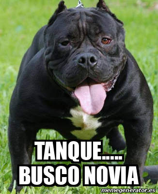 Meme Personalizado - Tanque..... Busco novia - 31878926