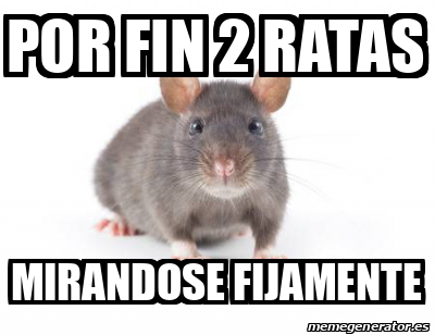 Meme Personalizado - Por fin 2 ratas Mirandose fijamente - 31882121