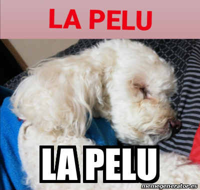 Meme Personalizado - La pelu - 31883463