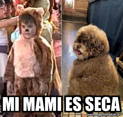 Meme Personalizado - mi mami es seca - 31888512