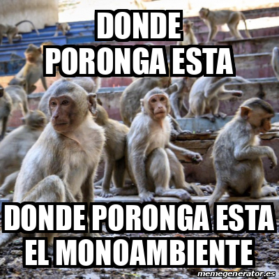Meme Personalizado - Donde poronga esta Donde poronga esta el ...