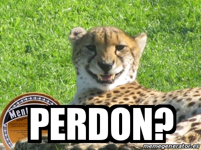 Meme Personalizado - perdon? - 31092313