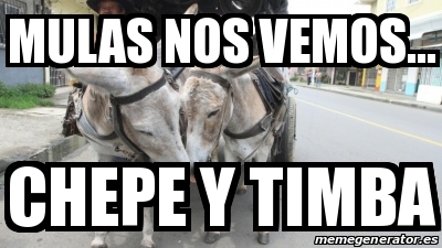 Meme Personalizado - Mulas nos vemos... Chepe y Timba - 31093202