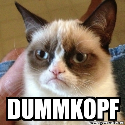 Meme Grumpy Cat - dummkopf - 31093726