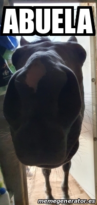 Meme Personalizado - Abuela - 31094391