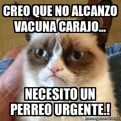 Meme Grumpy Cat - cReo que no alcanzo vacuna carajo... necesito un ...