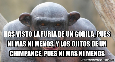 Meme Personalizado - has visto la furia de un gorila, pues ni mas ni ...