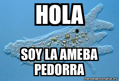 Meme Personalizado - Hola Soy la ameba pedorra - 31901994