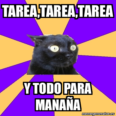 Meme Anxiety Cat - TAREA,TAREA,TAREA Y TODO PARA MANAÑA - 31902439