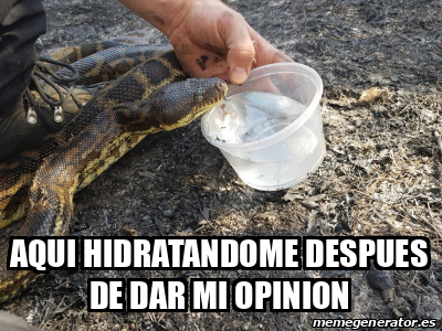 Meme Personalizado - aqui hidratandome despues de dar mi opinion - 31905089