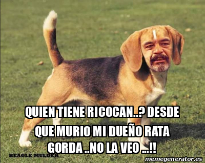 Meme Personalizado - QUIEN TIENE RICOCAN..? DESDE QUE MURIO MI DUEÑO ...