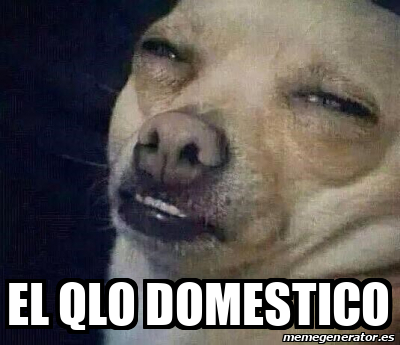 Meme Personalizado - EL QLO DOMESTICO - 31910371