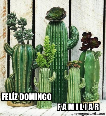 Meme Personalizado - Felíz domingo f a m i l i a r - 31911002