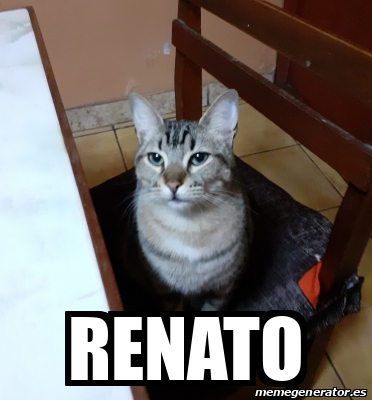 Meme Personalizado - RENATO - 31911052