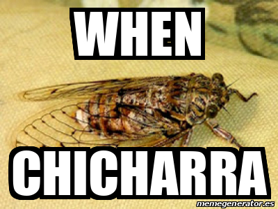 Meme Personalizado - When Chicharra - 31912497